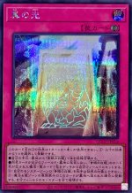 真の光/シークレット【罠】《QCCP-JP014》 - メルカード遊戯王