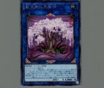 聖天樹の大母神/シークレット【モンスター】《SLT1-JP034》 サンアバロンドリュアトランティエ 販売ページ｜遊戯王カード通販｜メルカード秋葉原