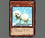 迷犬メリー/ノーマル【モンスター】《BODE-JP035》 - メルカード遊戯王