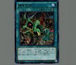 捕食生成/ウルトラパラレル【魔法】《DBLE-JP005》 - メルカード遊戯王